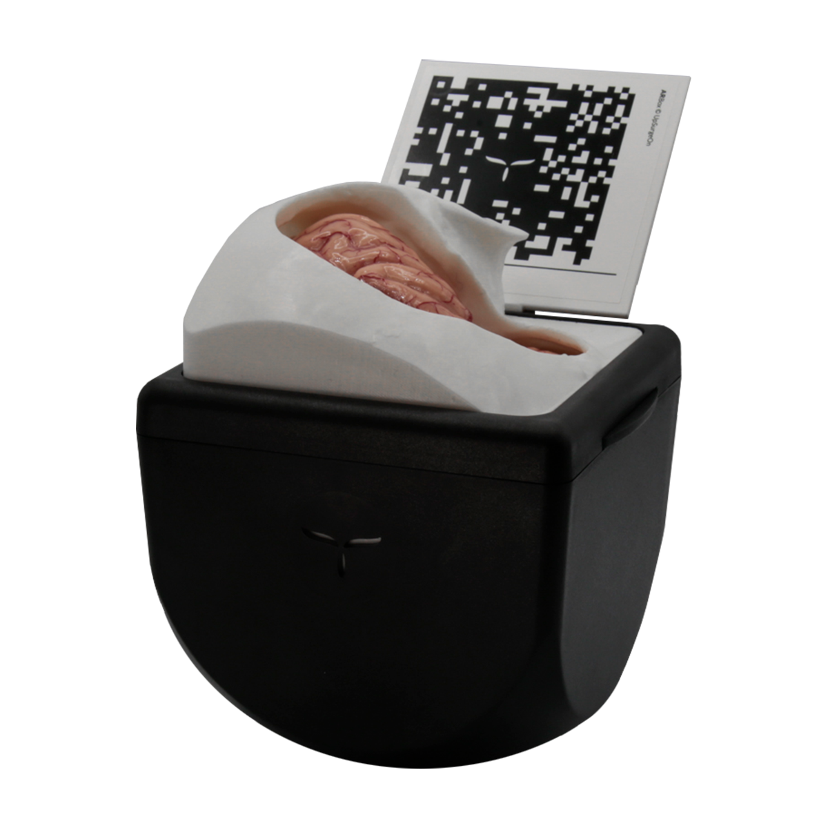 Cranial Series – UpSurgeOn Store