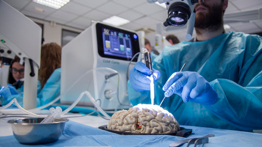 Brain and Tumor Dissection Course – UpSurgeOn Store