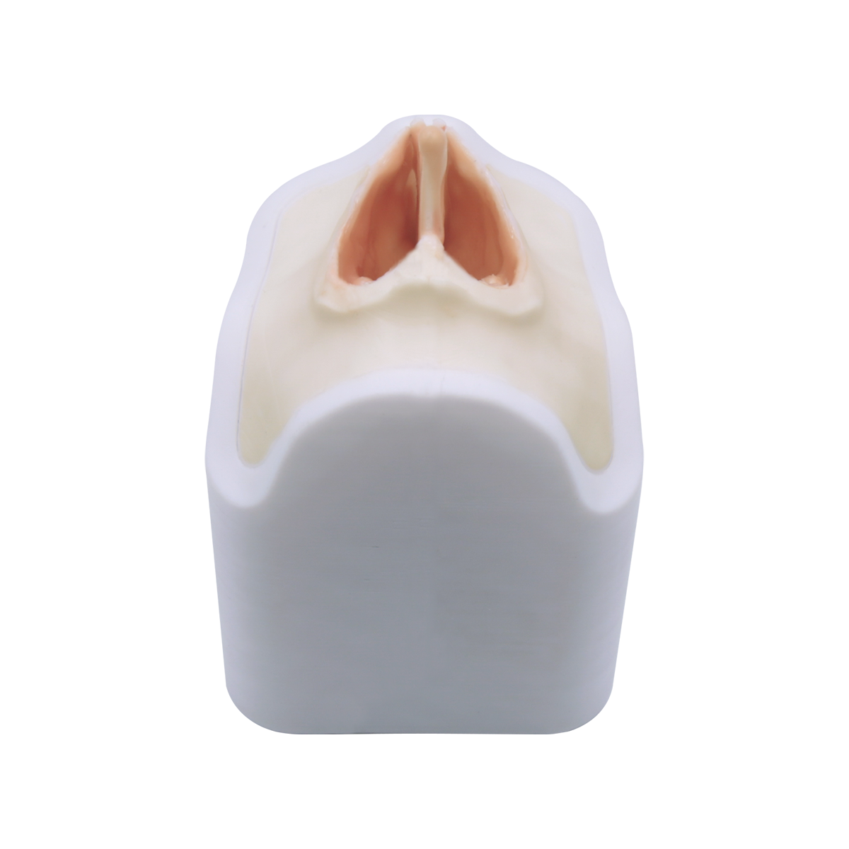 Neurosurgery simulators – UpSurgeOn Store