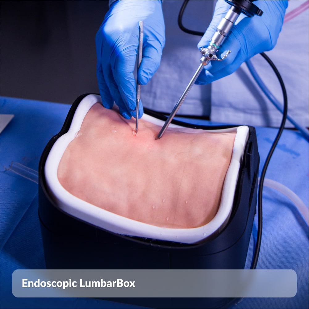 Endoscopic LumbarBox – UpSurgeOn Store