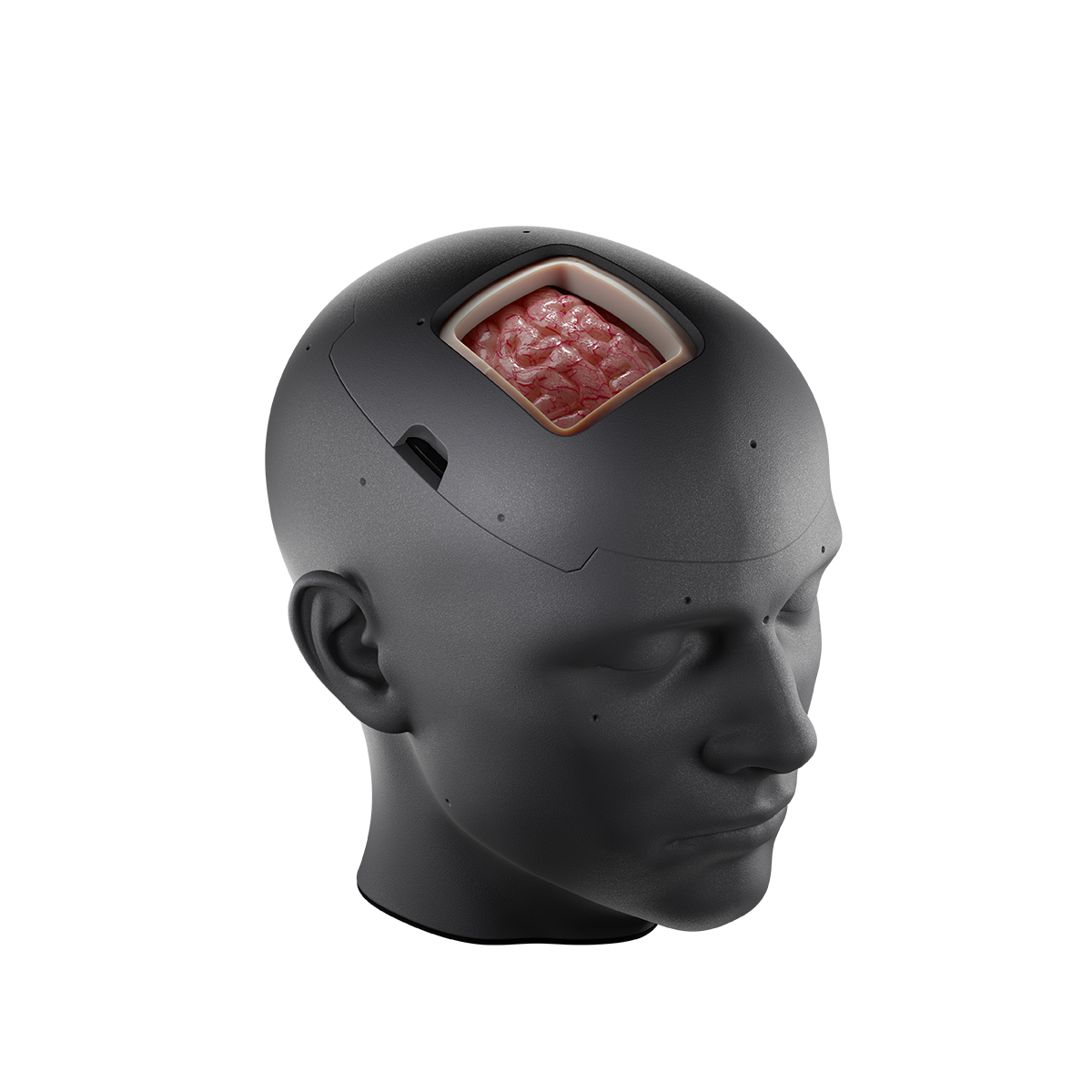 Cranial approaches simulators – UpSurgeOn Store