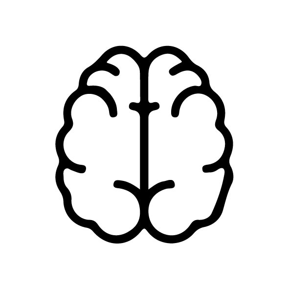 Neurosurgery simulators – UpSurgeOn Store