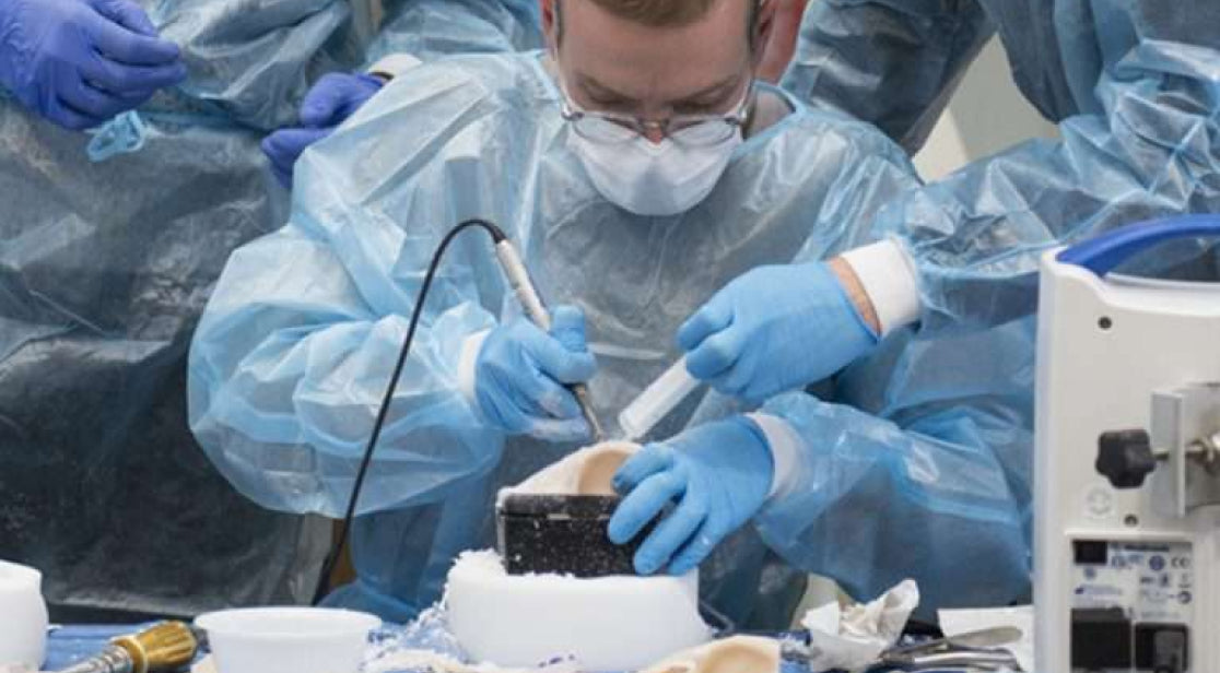 Brain and Tumor Dissection Course – UpSurgeOn Store